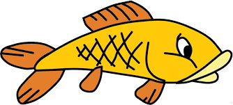 10 years since my first WordPress plugin - Ryan Hellyer